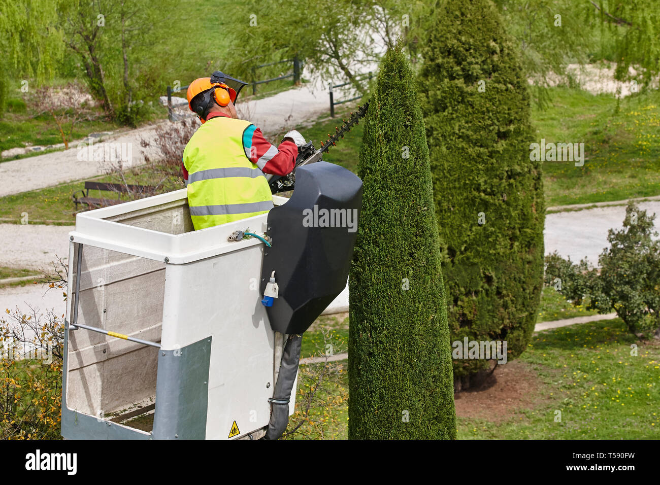 Equipped worker pruning a tree on a crane. Gardening works Stock Photo ...