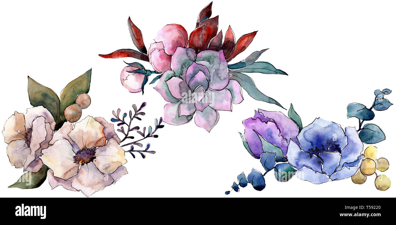 Bouquet floral botanical flowers. Watercolor background illustration ...
