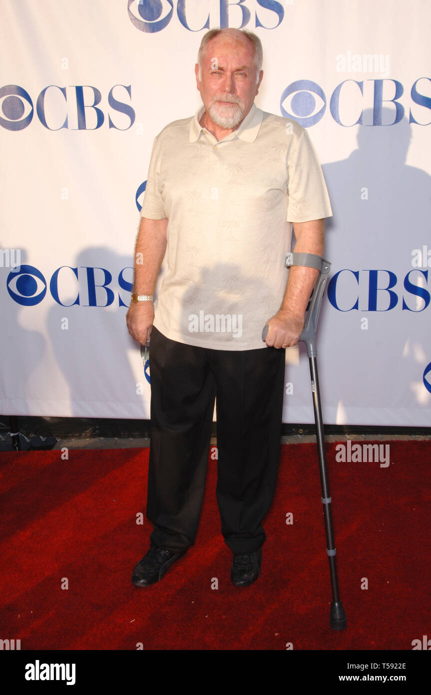 LOS ANGELES, CA. July 16, 2006: CSI star ROBERT DAVID HALL at the CBS ...