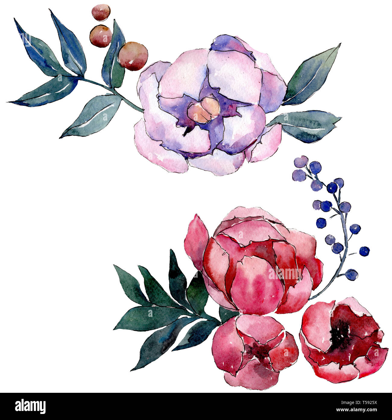 Bouquet floral botanical flowers. Watercolor background illustration ...