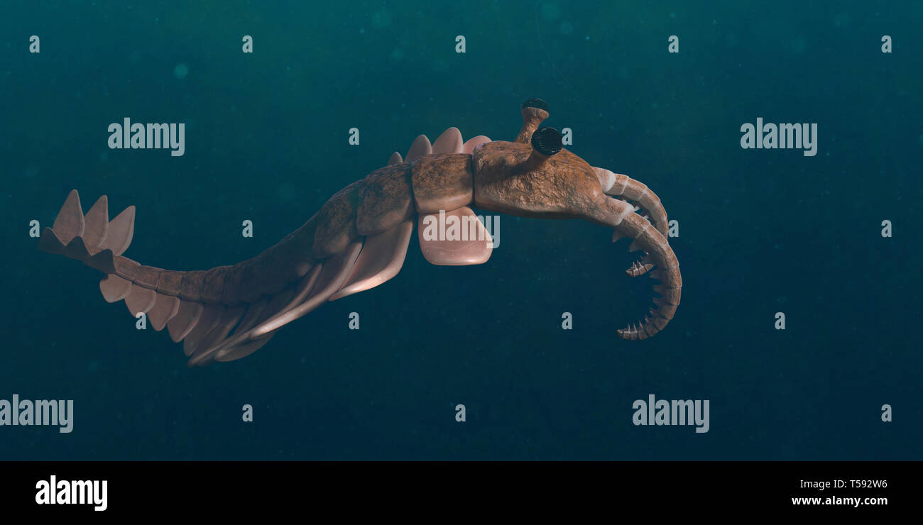 Anomalocaris, life form of the Cambrian period (3d paleoart ...