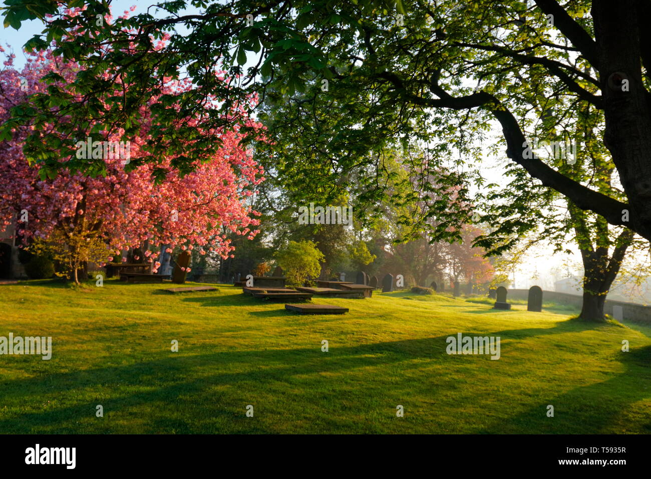 Swillington in bloom hi-res stock photography and images - Alamy