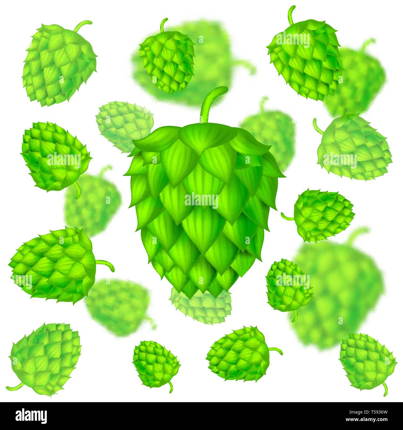 Realistic hop cones flying on white background with depth of field ...