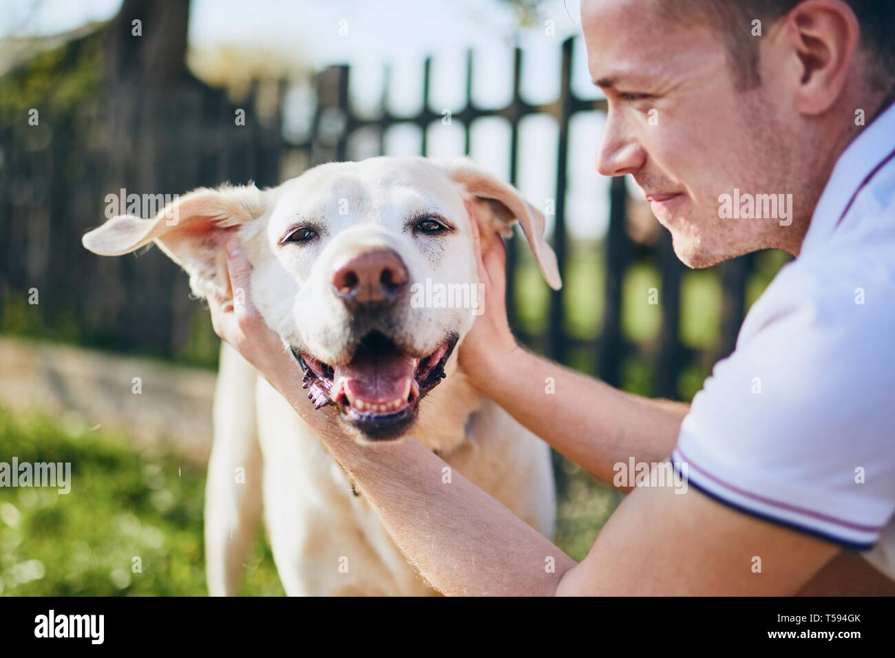 Happy dog and his owner. Young man embracing labrador retriever on back ...