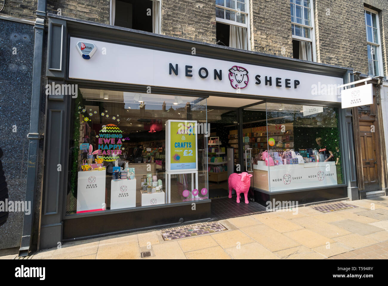 Glow In The Dark Sheep