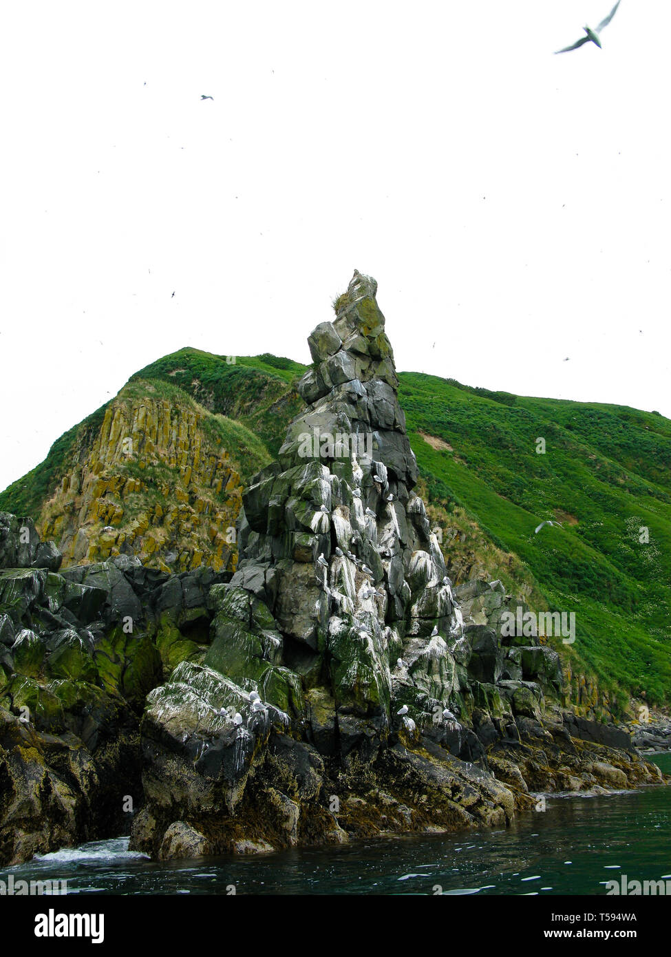 Kamchatka russia avachinskaya hi-res stock photography and images - Alamy