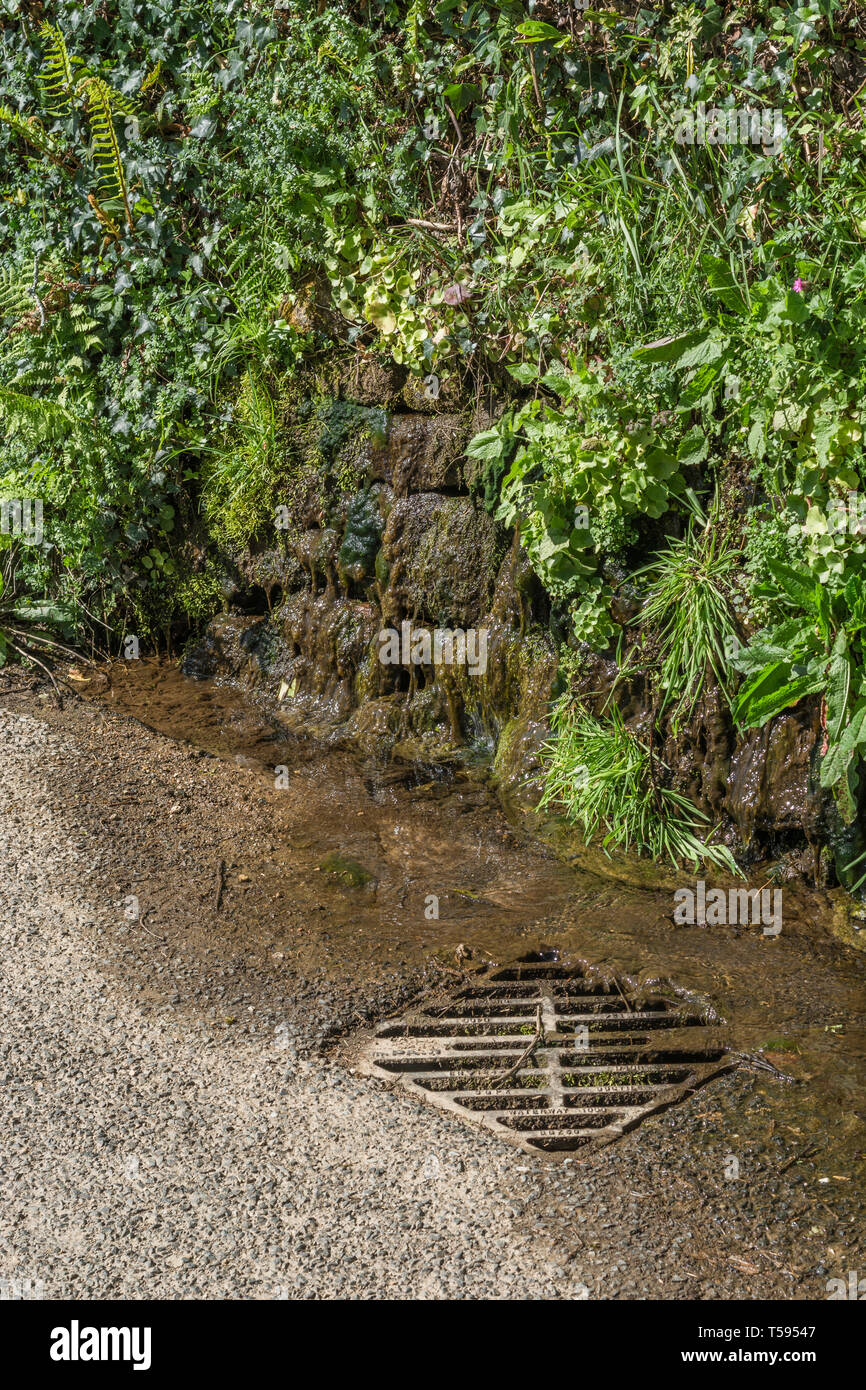 Rural road with run-off water running into a drain Stock Photo - Alamy