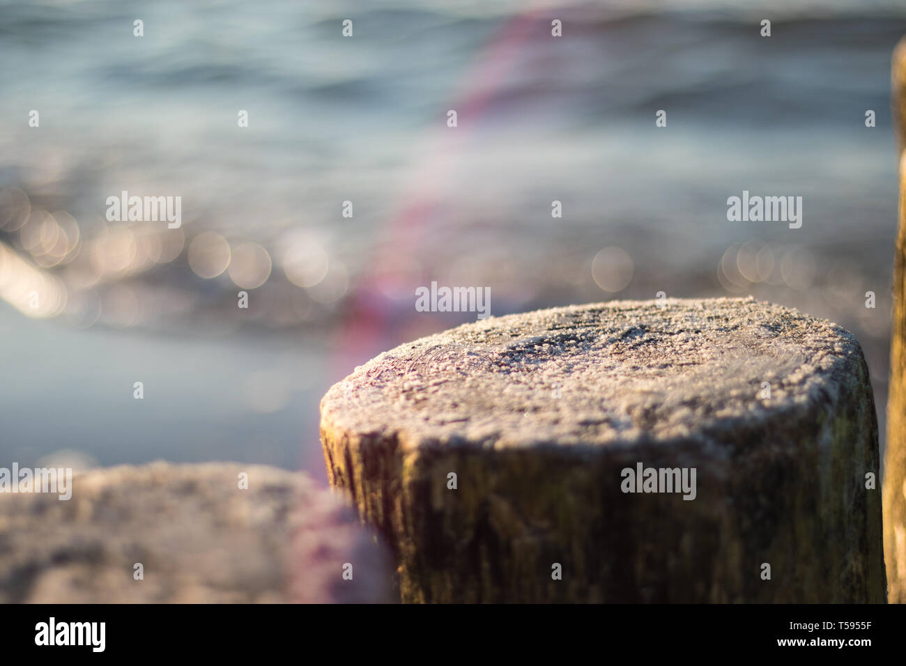Wood in the Sea Stock Photo - Alamy