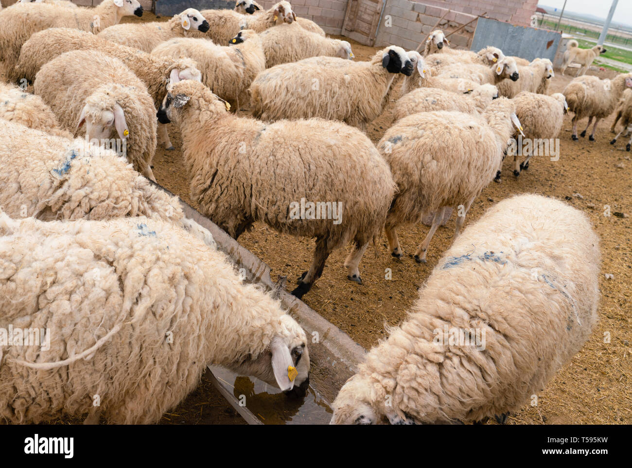 Just the front hi-res stock photography and images - Alamy