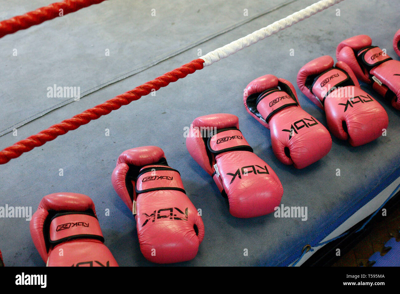 Pink boxing gloves. Times ABC Boxing Club. Islington, London. 27/08 ...
