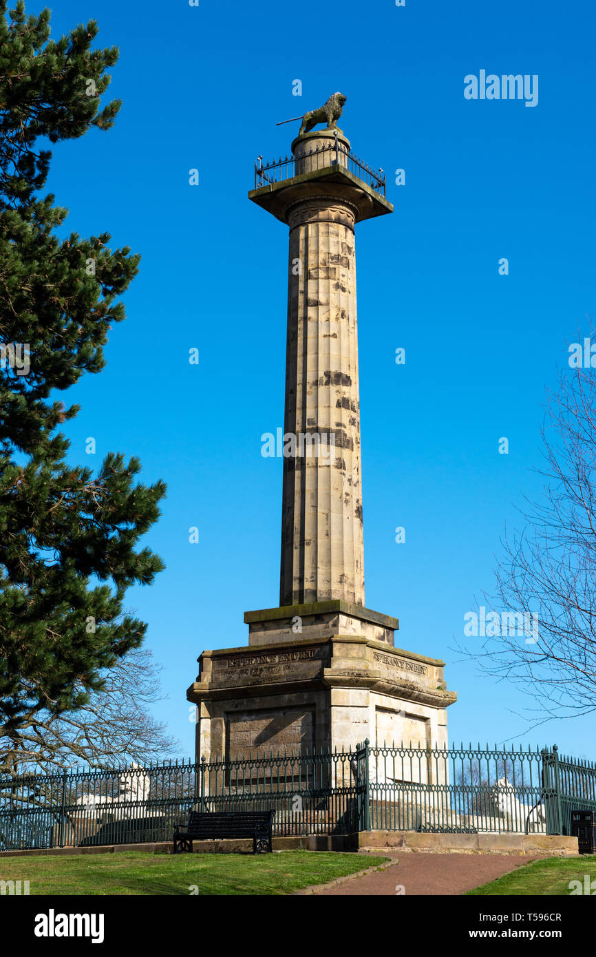 Percy lion hi-res stock photography and images - Alamy
