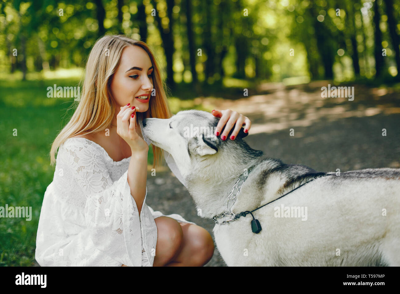 elegant girl with cute dog Stock Photo - Alamy