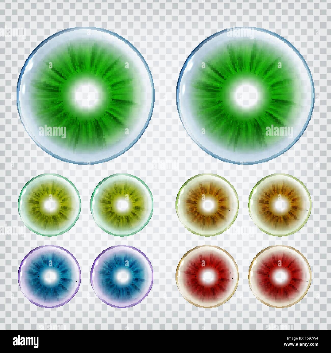 Medical Stylish Contact Optical Lenses Set Vector Stock Vector Image ...
