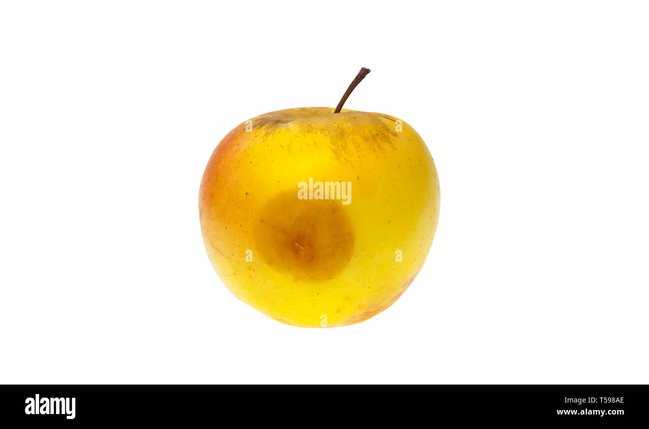 rotten apple fruit isolated on white background Stock Photo - Alamy