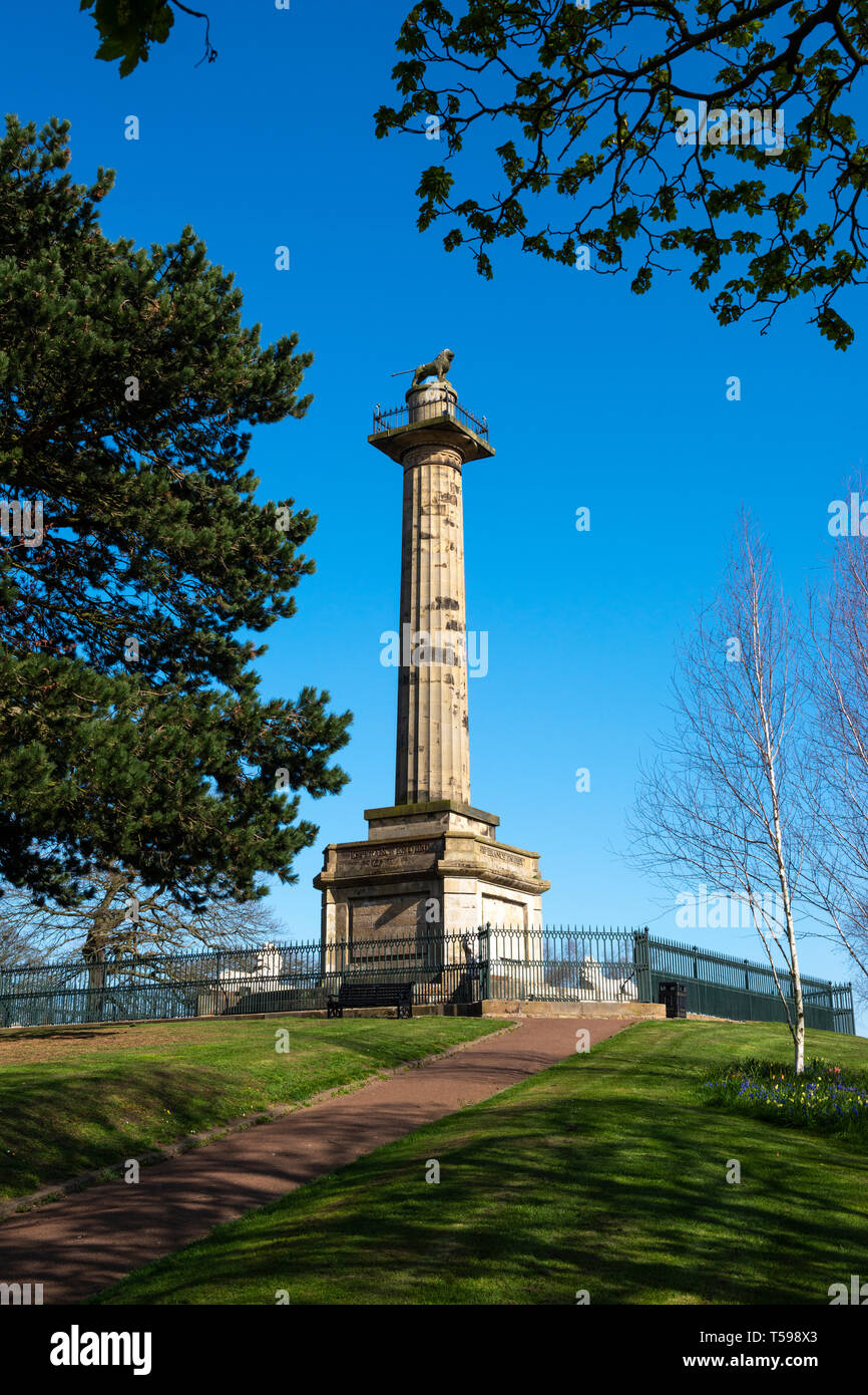 Tenantry Column and Percy Lion at Alnwick in Northumberland, England ...