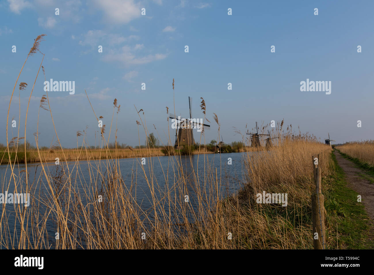 Spring with windmills in the background hi-res stock photography and ...
