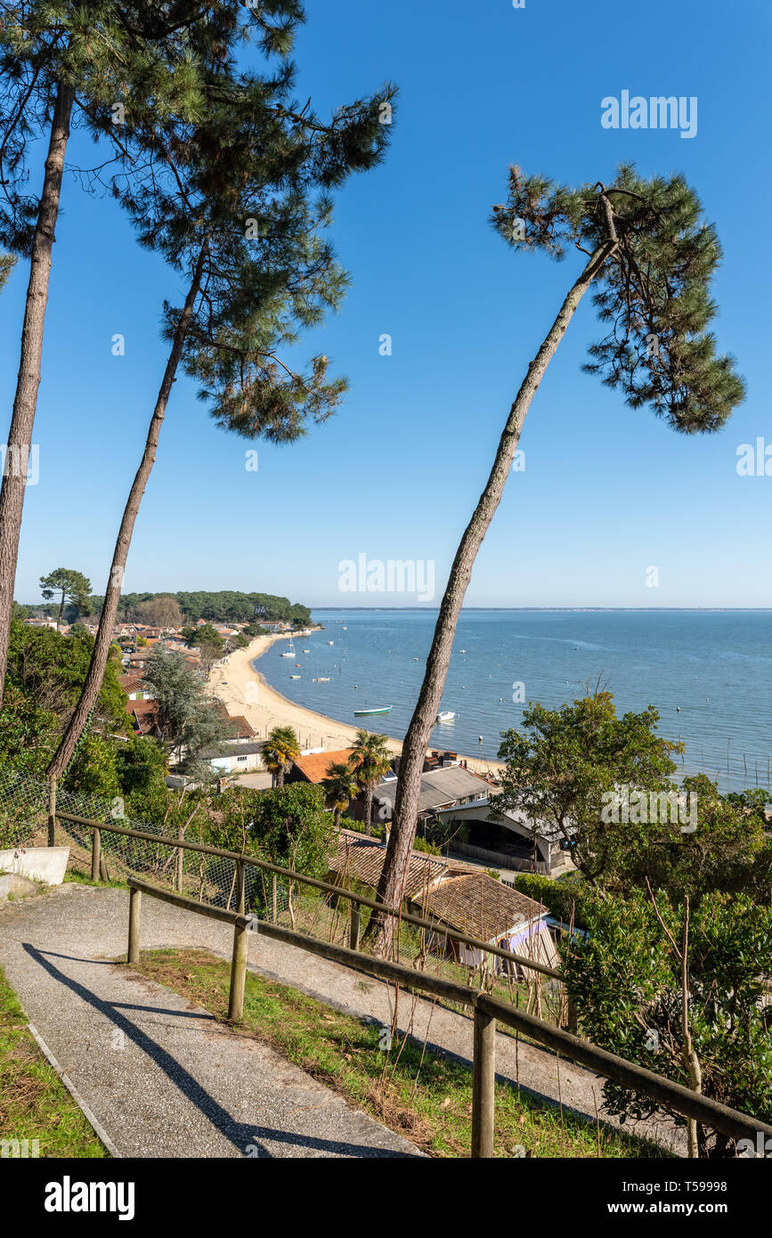 Ferret point hi-res stock photography and images - Alamy