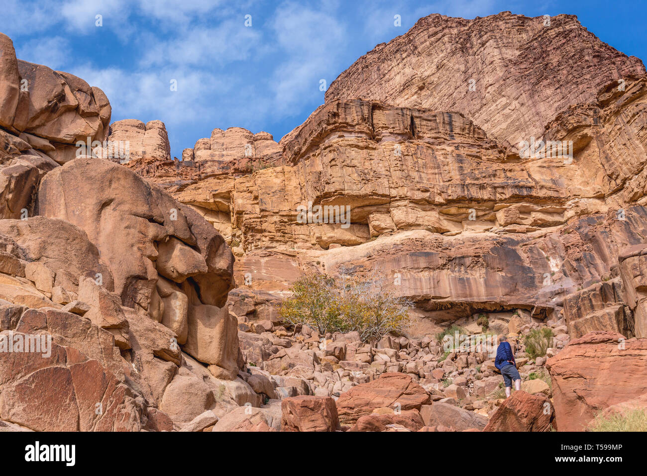 Rocks around Lawrence spring in Wadi Rum valley also called Valley of ...