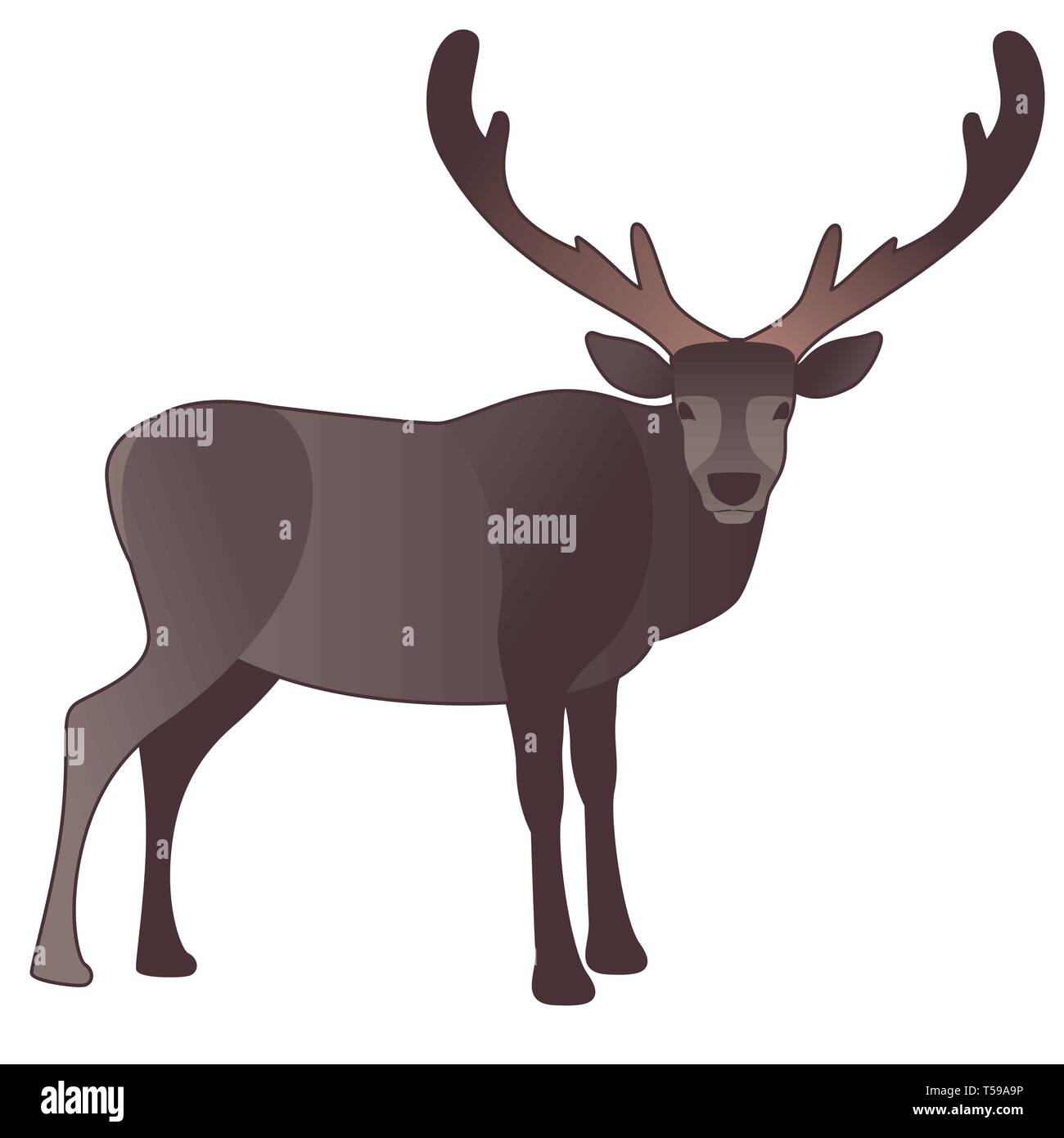 Reindeer cartoon style, with big antlers, isolated on white background ...