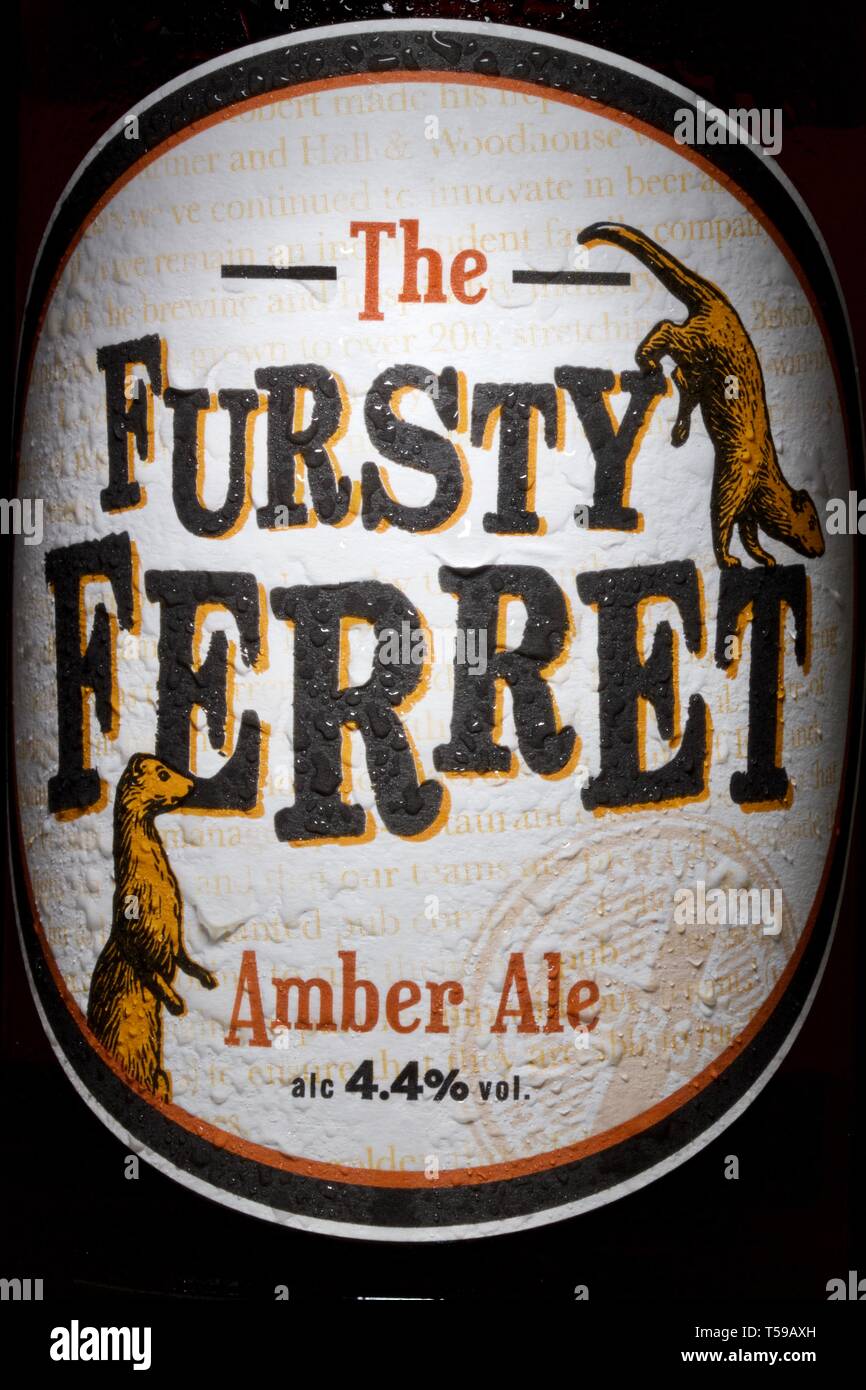 The Fursty Ferret Fine Ale Stock Photo - Alamy