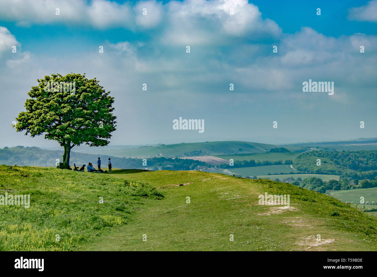 Walking under shade hi-res stock photography and images - Alamy