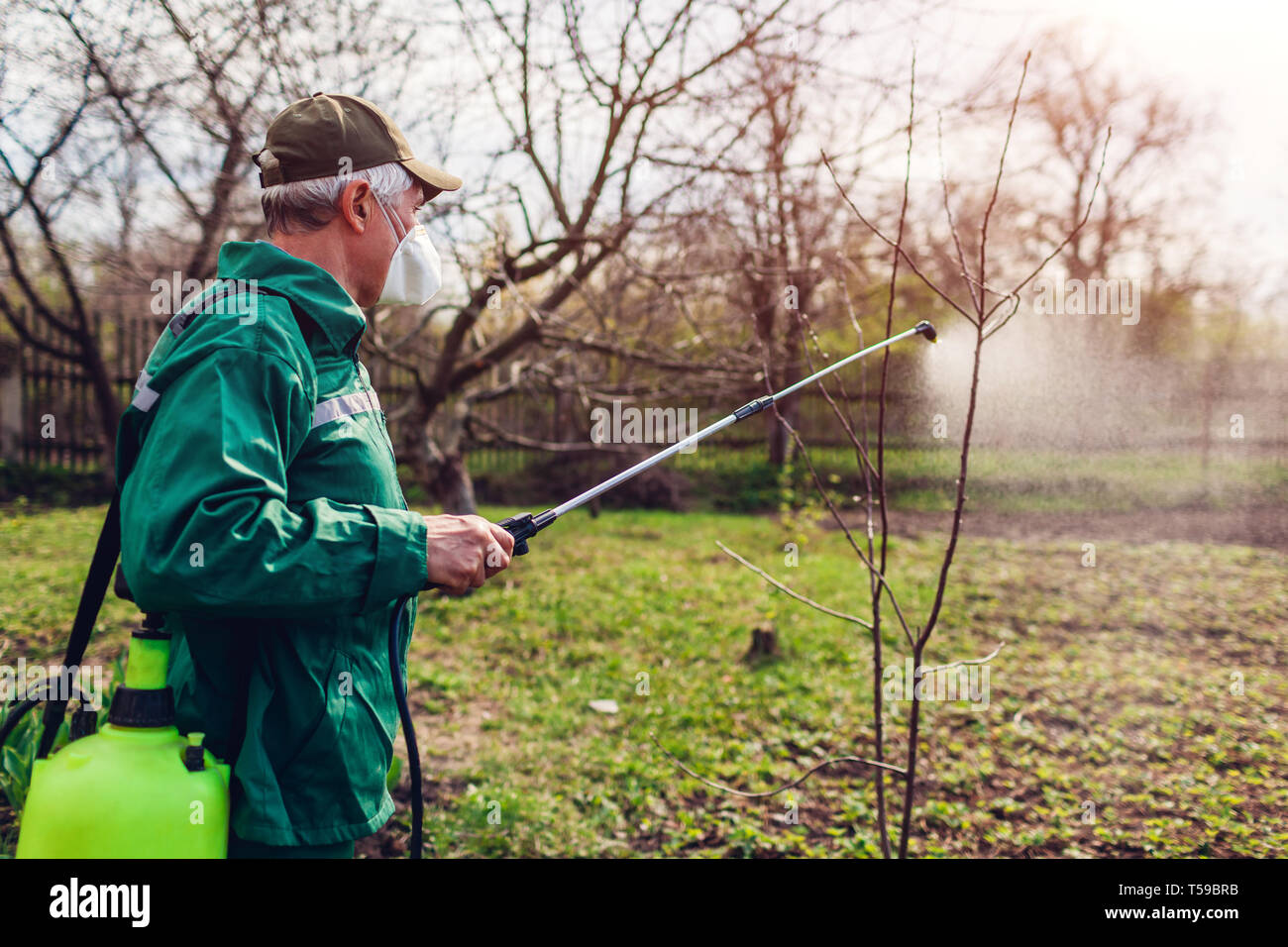 Senior farmer spraying tree with manual pesticide sprayer against ...