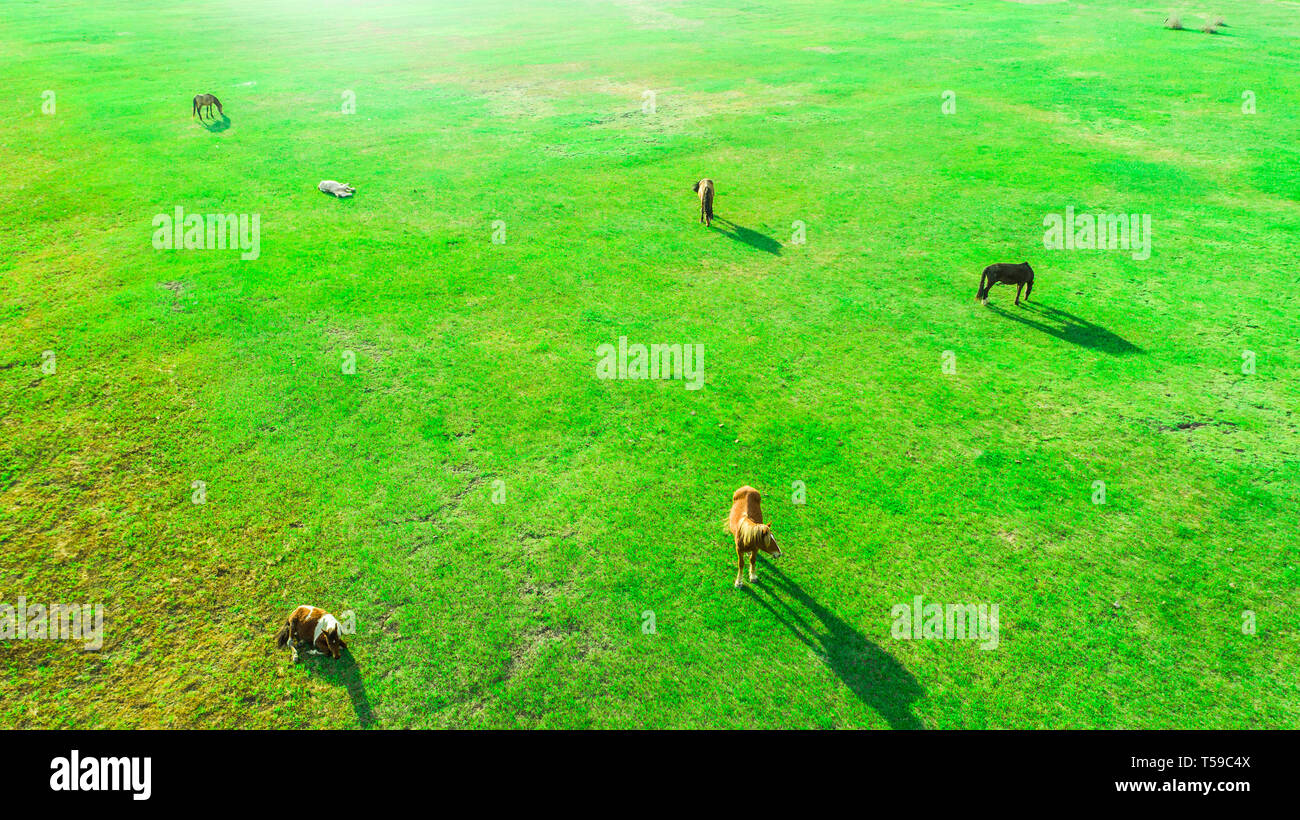 Animals interacting environment hi-res stock photography and images - Alamy