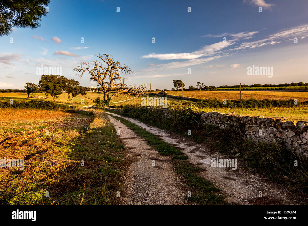 Puglia landscape hi-res stock photography and images - Alamy