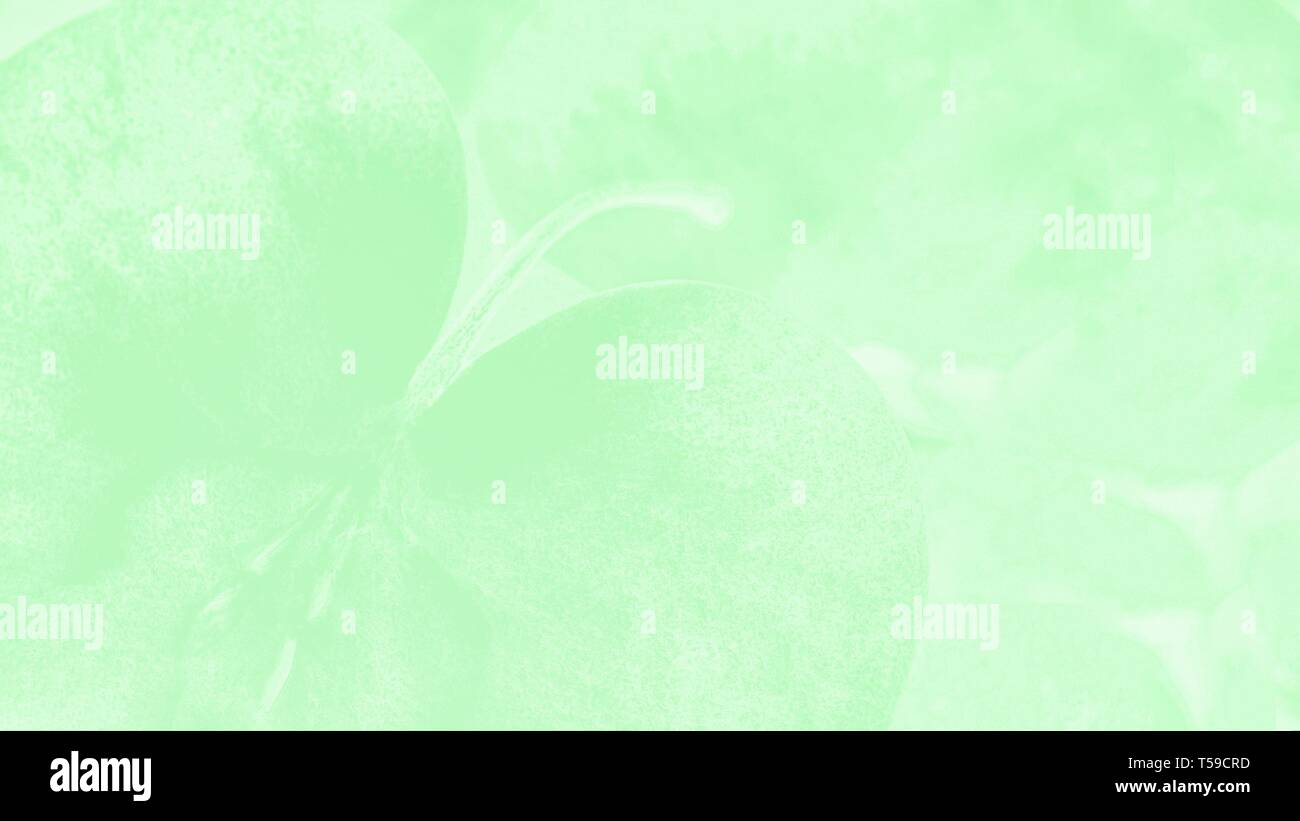 16 9 High Resolution Stock Photography and Images - Alamy