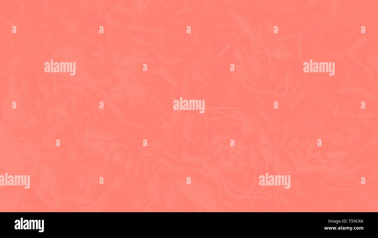 Red coral color gradient background with a delicate roses floral ...