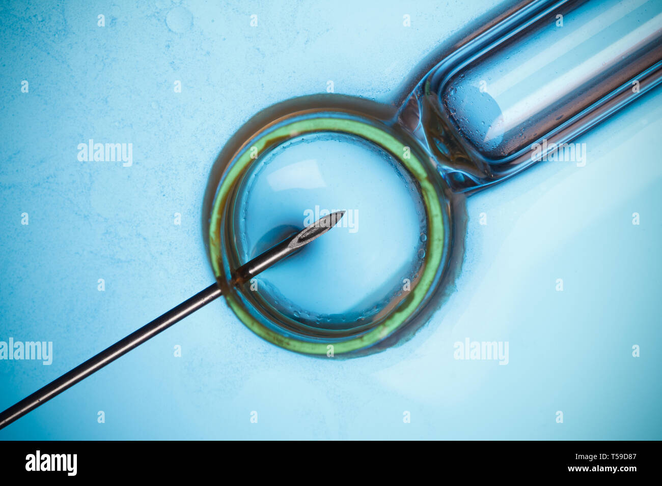 Laboratory microscopic research, injection in a empty cell, macro ...