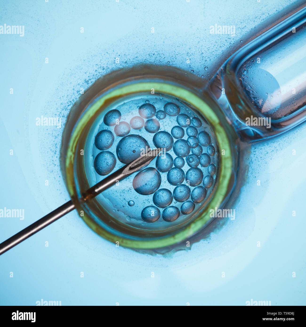 In vitro fertilisation hi-res stock photography and images - Alamy