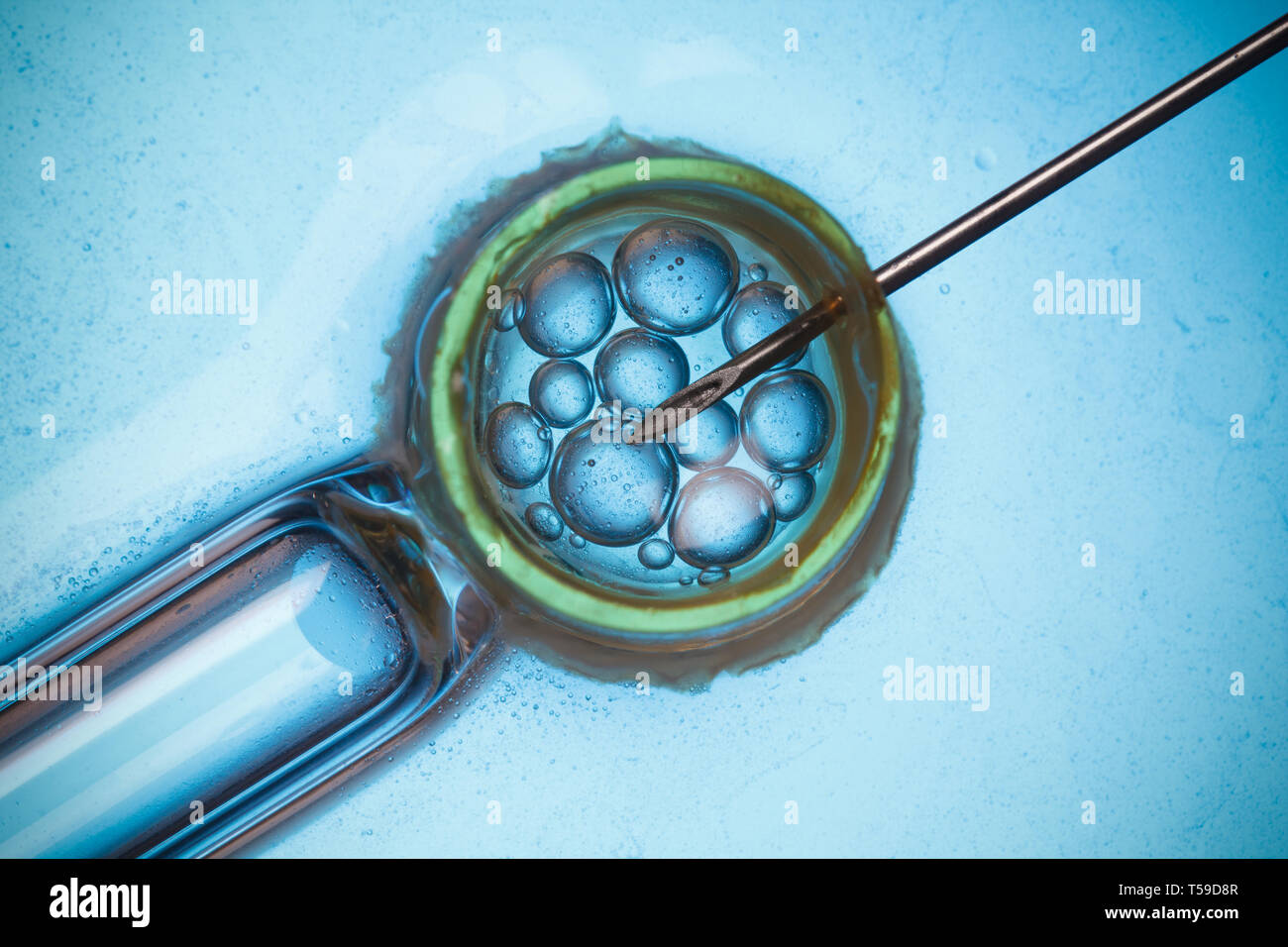 Microscopic research hi-res stock photography and images - Alamy
