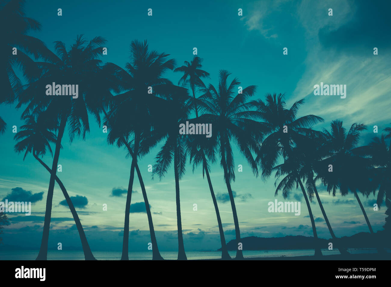 Retro stylized palm trees on tropical beach Stock Photo - Alamy