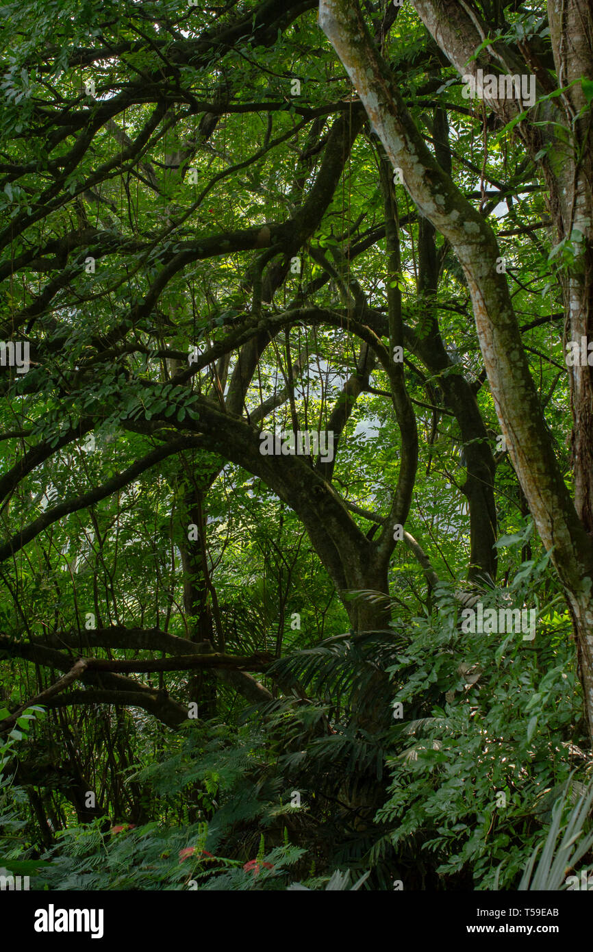 Nature naturally beautiful awesome amazing hi-res stock photography and ...