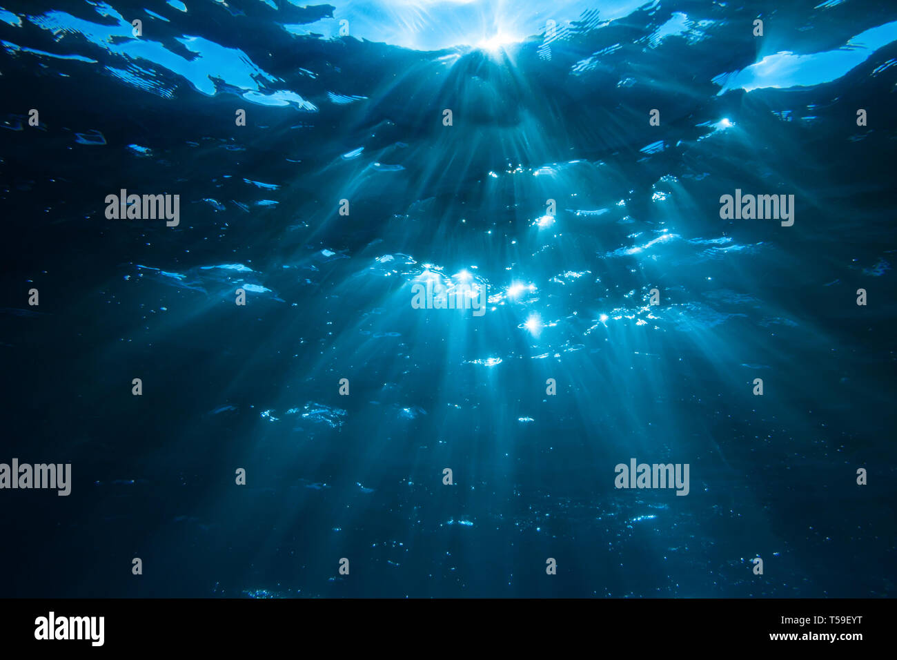 Underwater shot with sunrays in deep blue tropical sea Stock Photo - Alamy