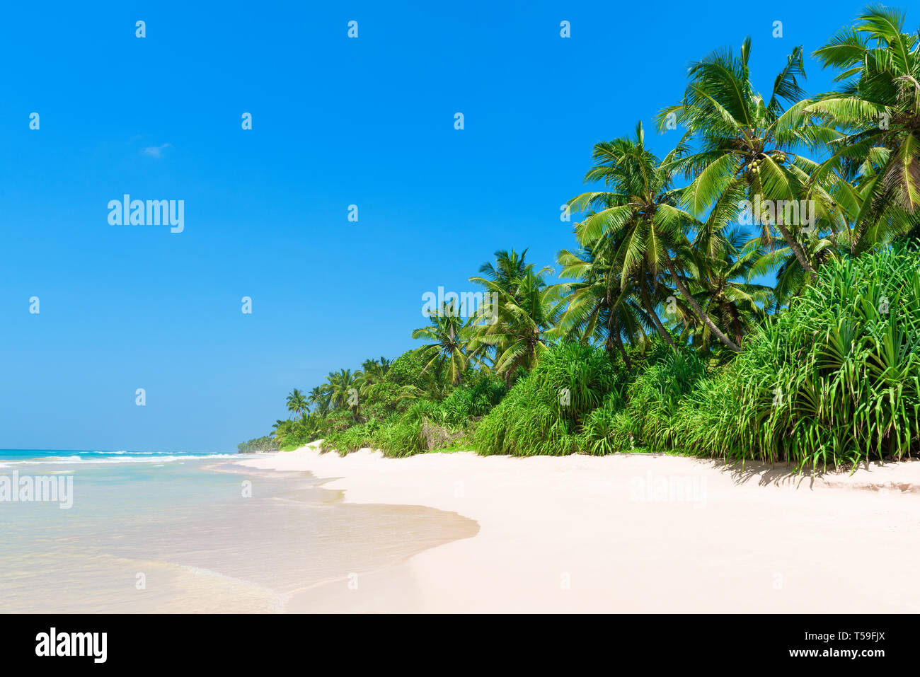 Long beach resort florida hi-res stock photography and images - Alamy