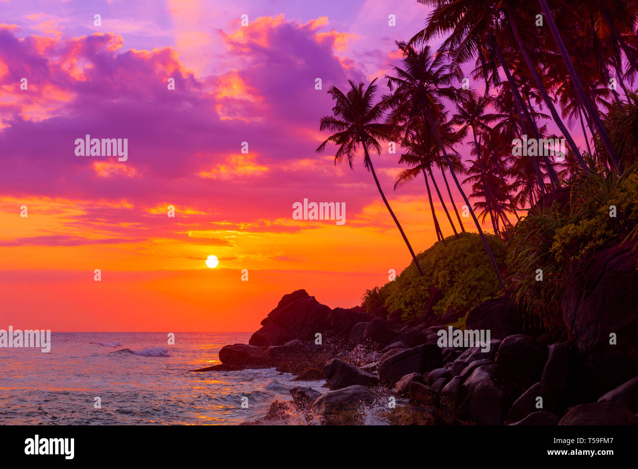 Tropical beach at sunset with palm trees shiny waves spashes Stock ...
