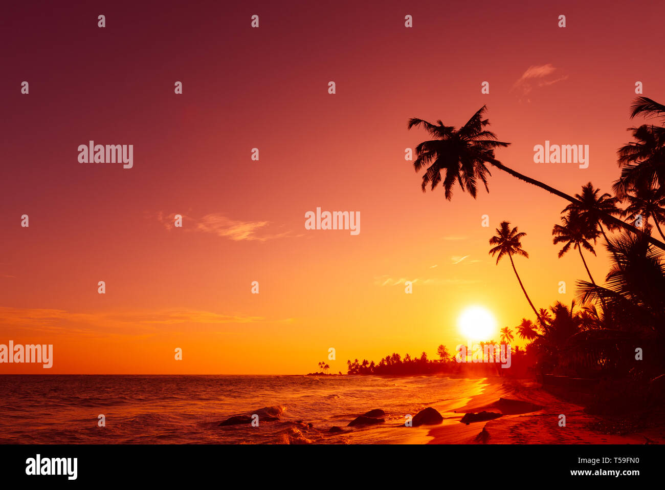 Sunset on tropical beach with palm trees silhouettes and shining sun ...