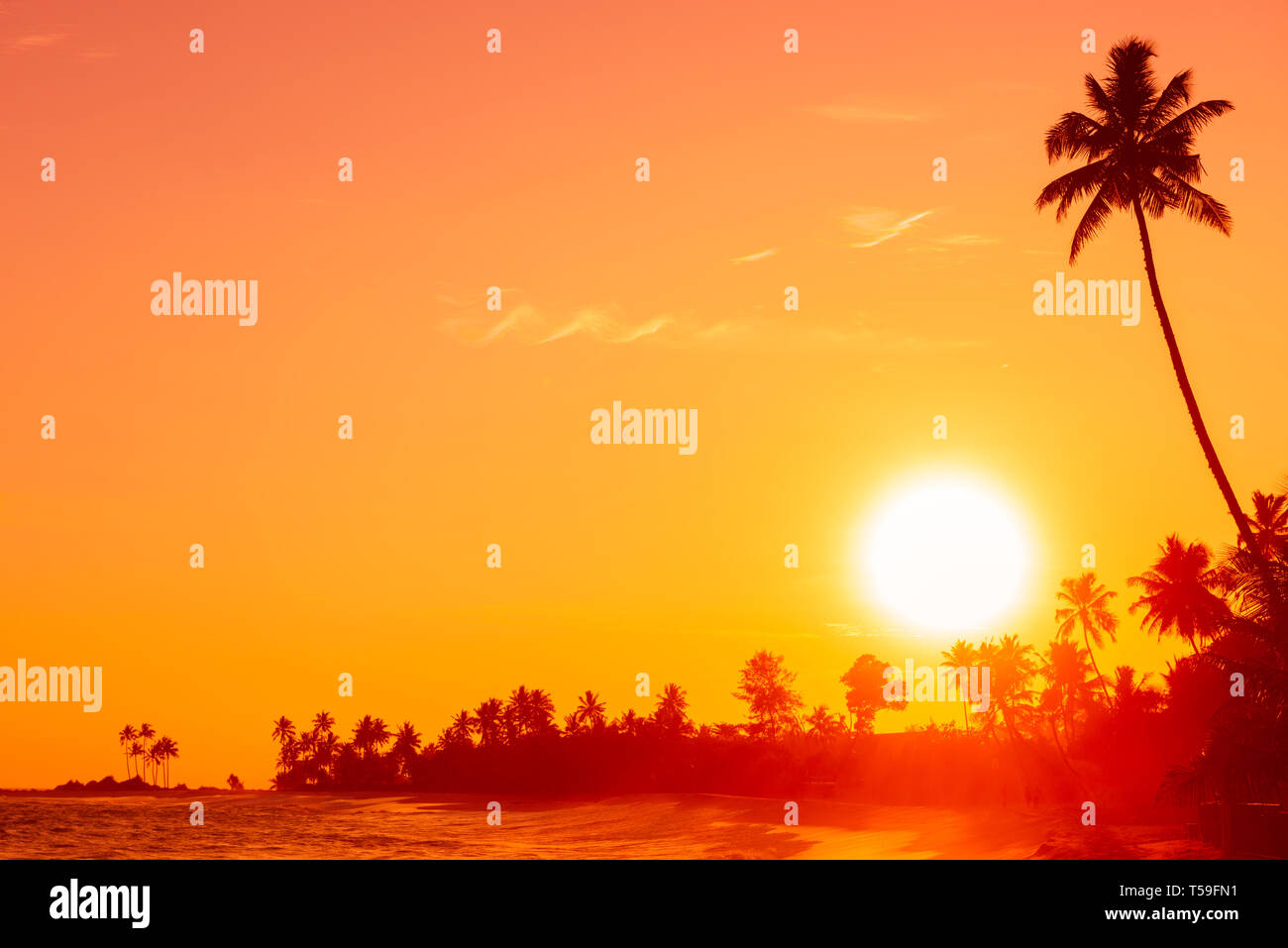 Sunset on tropical beach with palm tree silhouette and shining sun ...