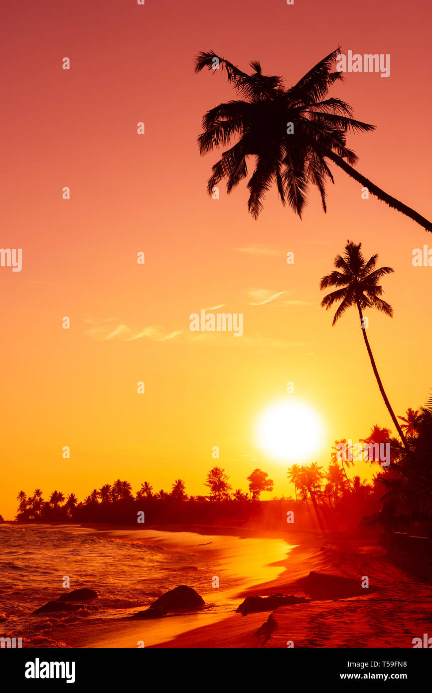 Warm sunset on tropical ocean beach Stock Photo - Alamy