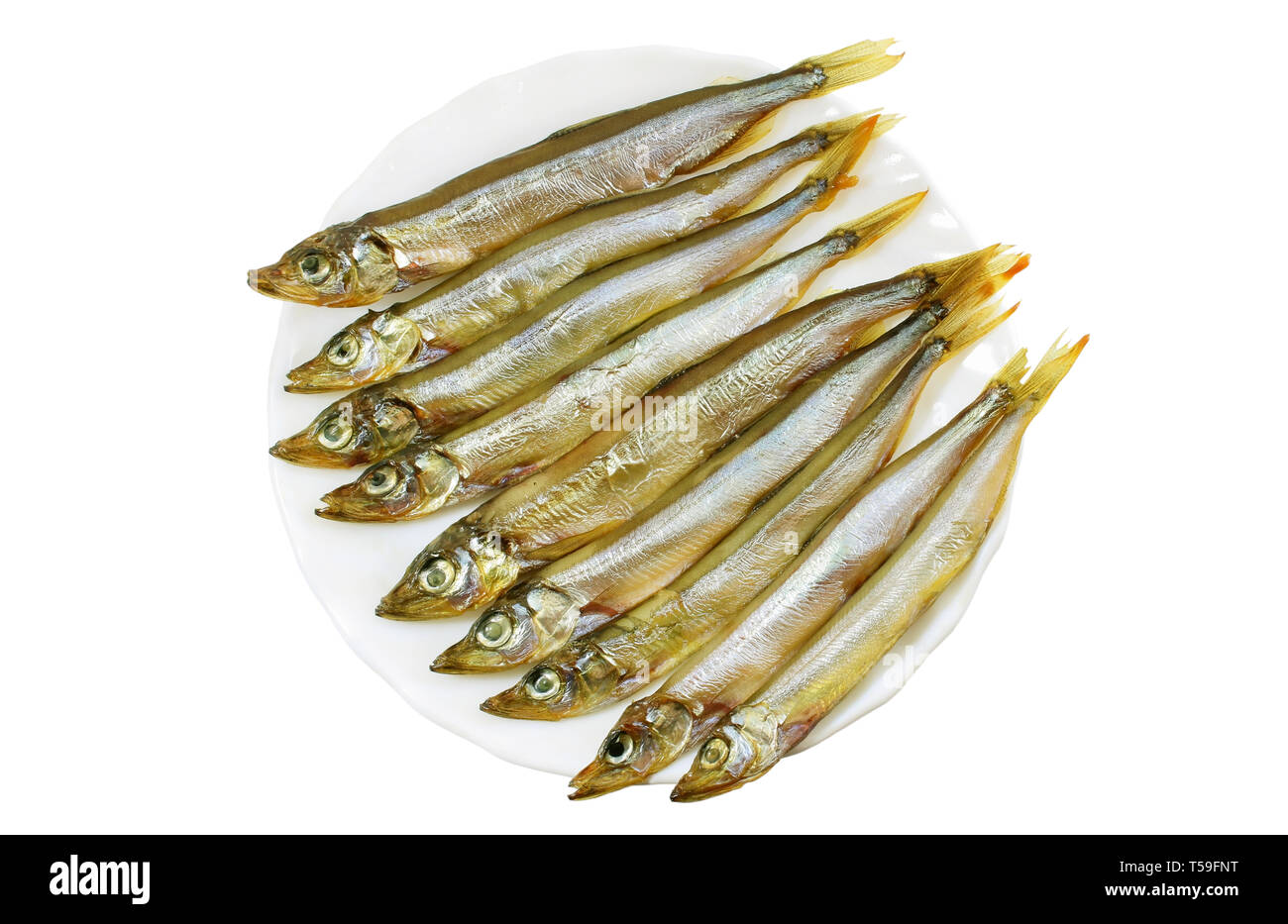 Sardine production hi-res stock photography and images - Alamy