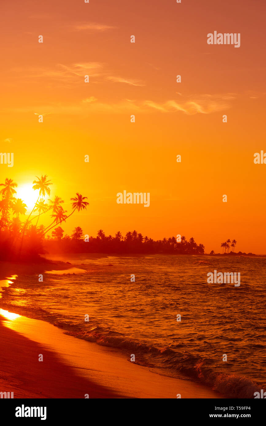 Beautiful warm sunset on beach hi-res stock photography and images - Alamy
