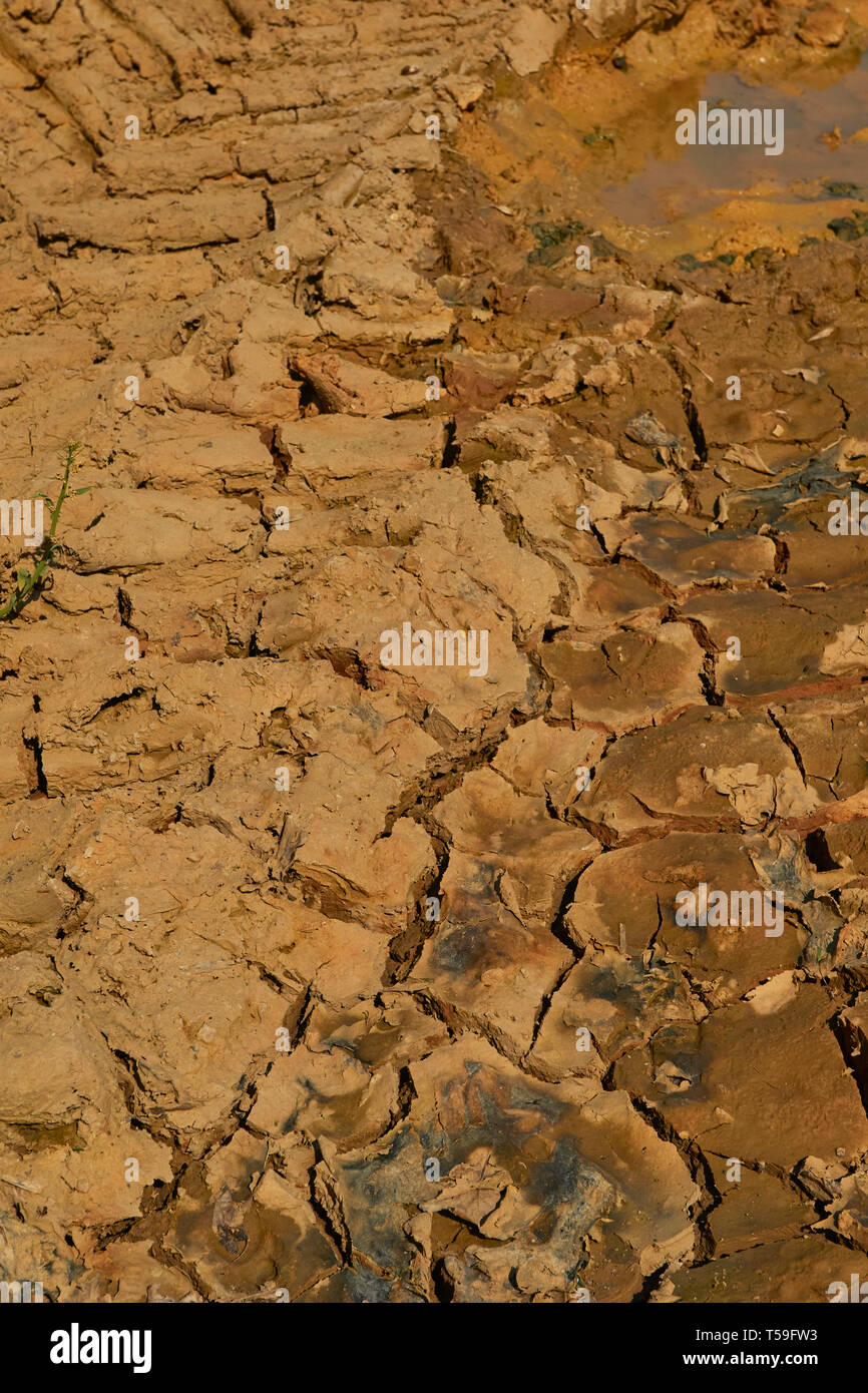 Cracked earth and receding water boding drought and environmental ...