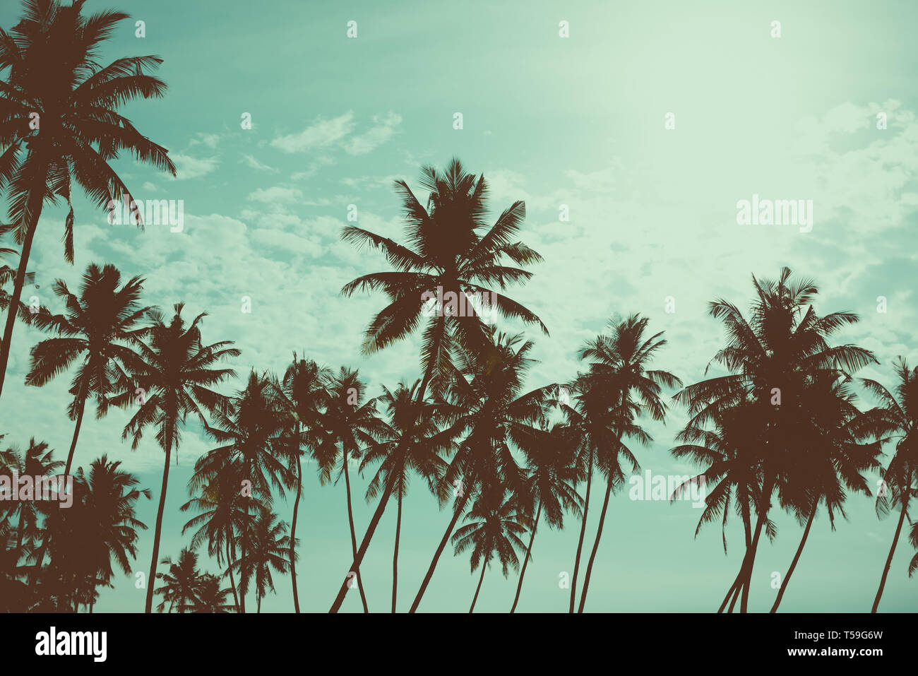 Palm trees on tropical beach, vintage toned and retro color stylized ...