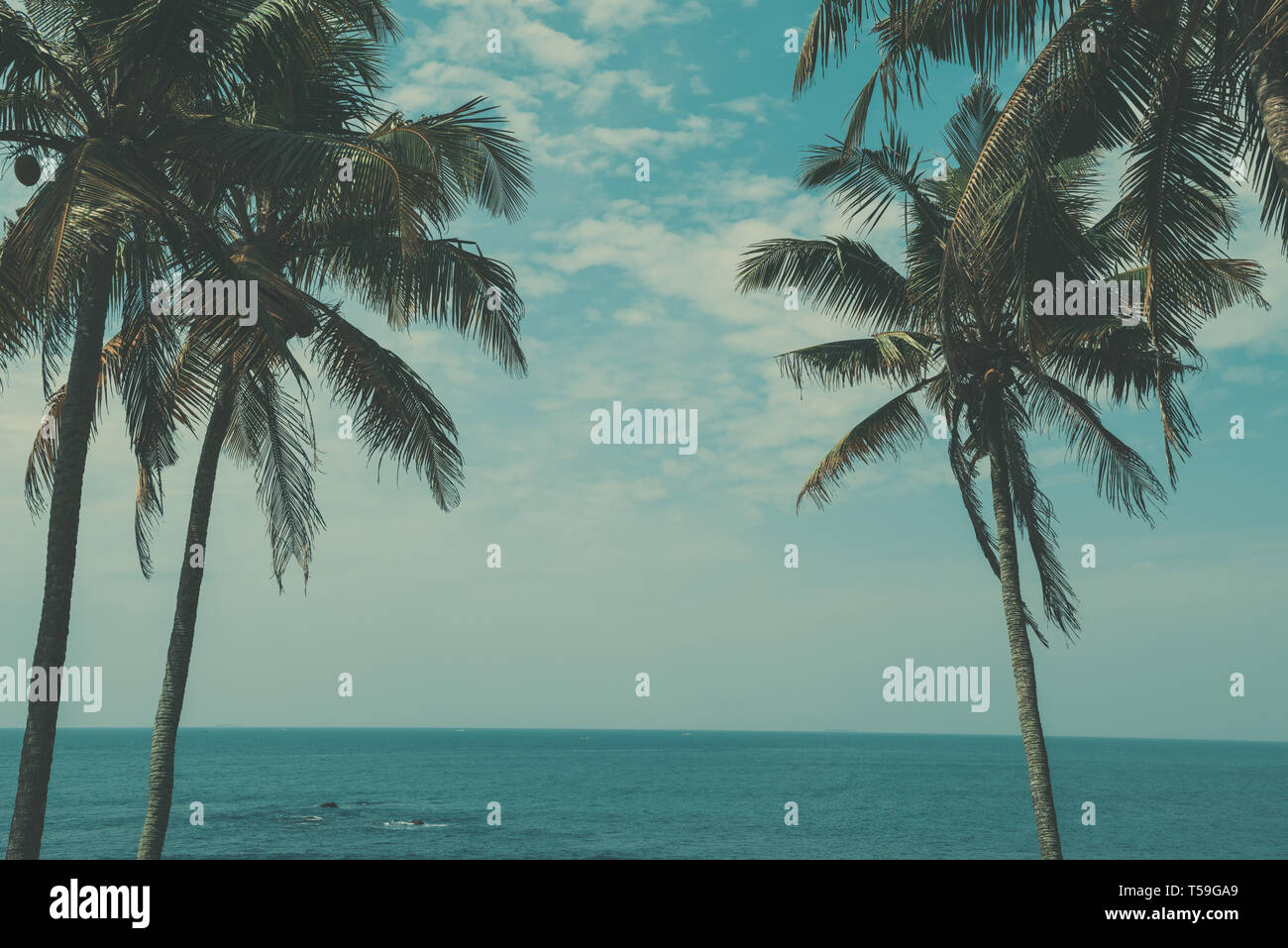 Palm trees on tropical shore above the ocean, vintage toned and retro ...