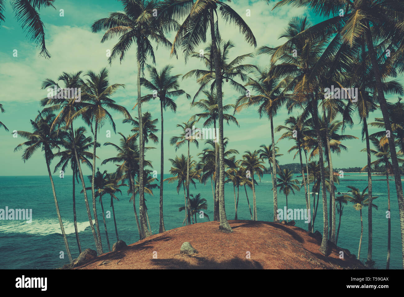 Palm trees on tropical beach, vintage toned and retro color stylized ...