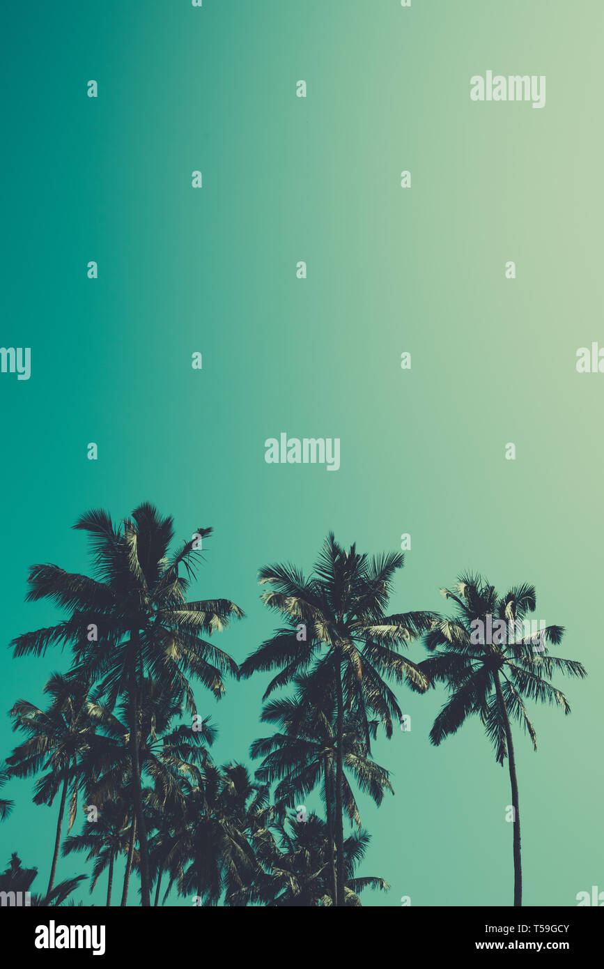 Palm trees on tropical beach, vintage toned and retro color stylized ...