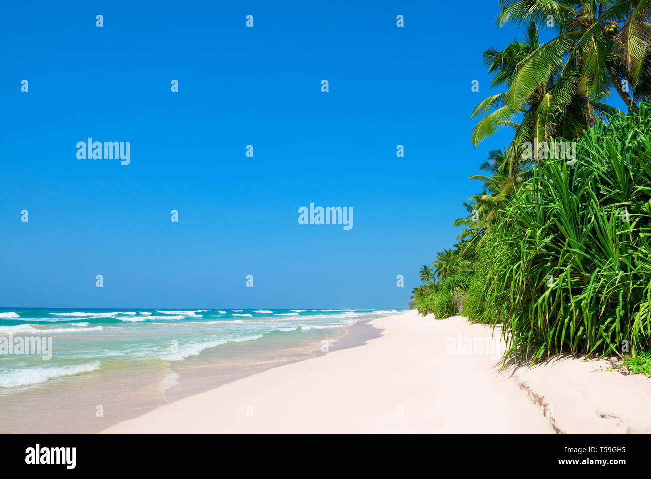 Long tropical beach Stock Photo - Alamy