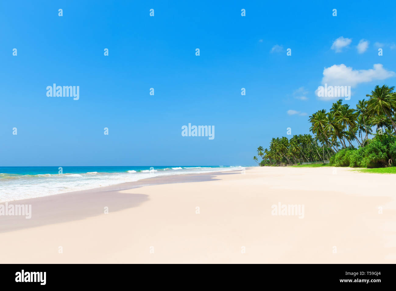 Clean empty tropical beach Stock Photo - Alamy